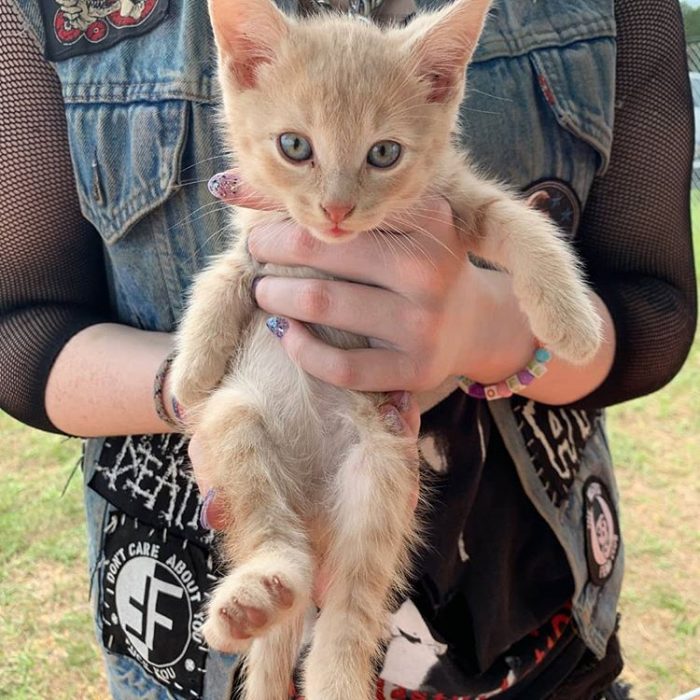 Take Me Home – Rock Out For Rescue